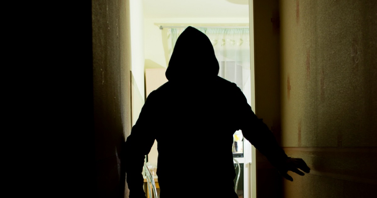 Debunking the Intruder Theory | #SHAKEDOWN